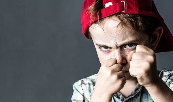 Being the Bully | Mental Health Awareness | Anti-Bullying Programs